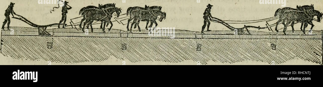 Roman plow hi-res stock photography and images - Alamy