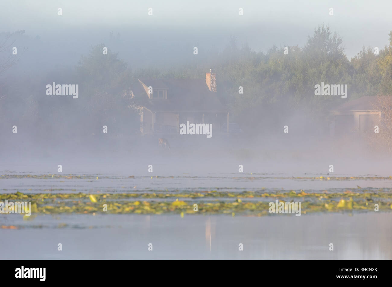 The autumn fog begins to lift revealing a north woods home on the ...
