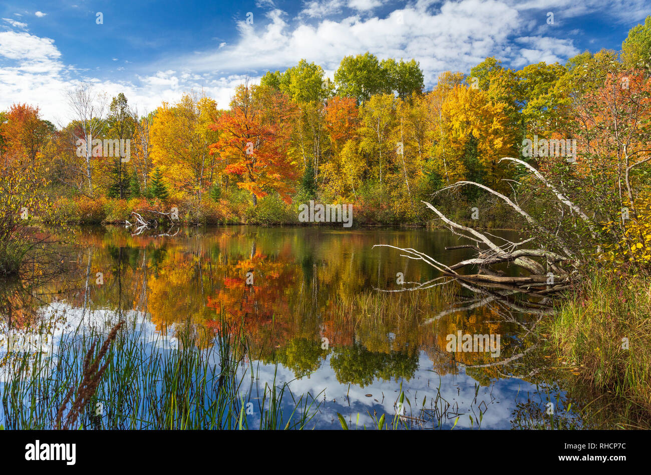 Chippewa national forest hi-res stock photography and images - Alamy