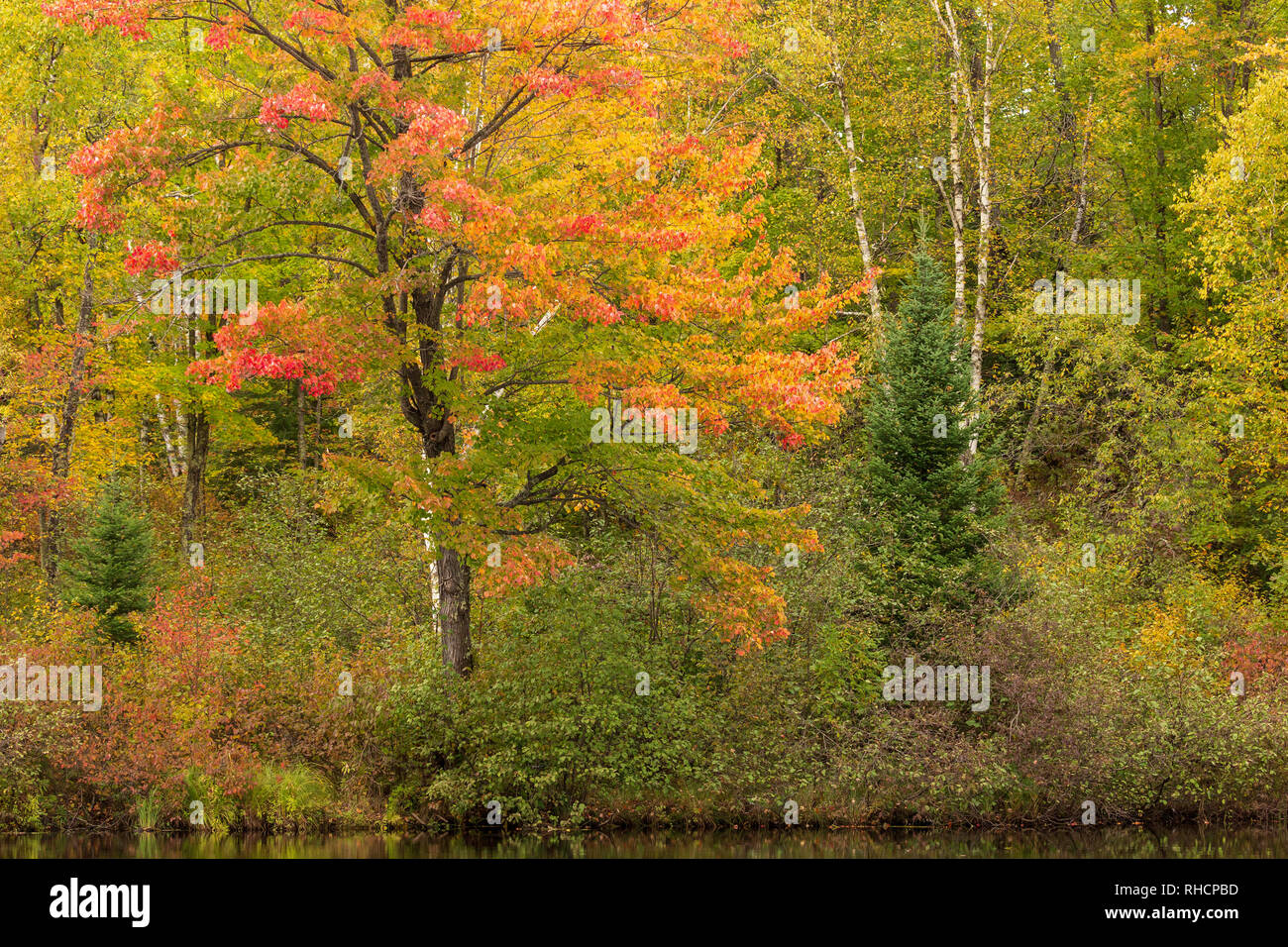 Chippewa national forest hi-res stock photography and images - Alamy