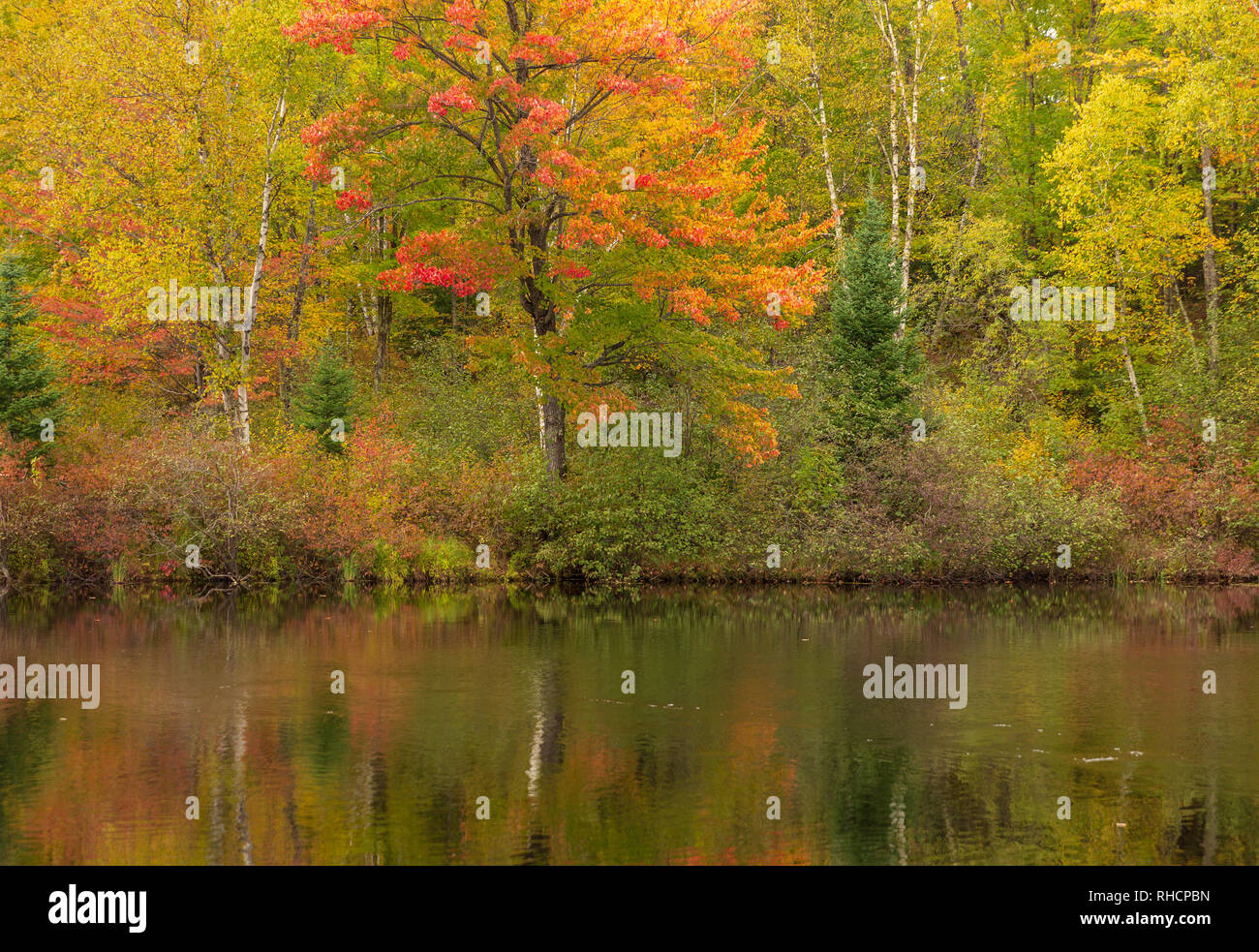 Chippewa national forest hi-res stock photography and images - Alamy