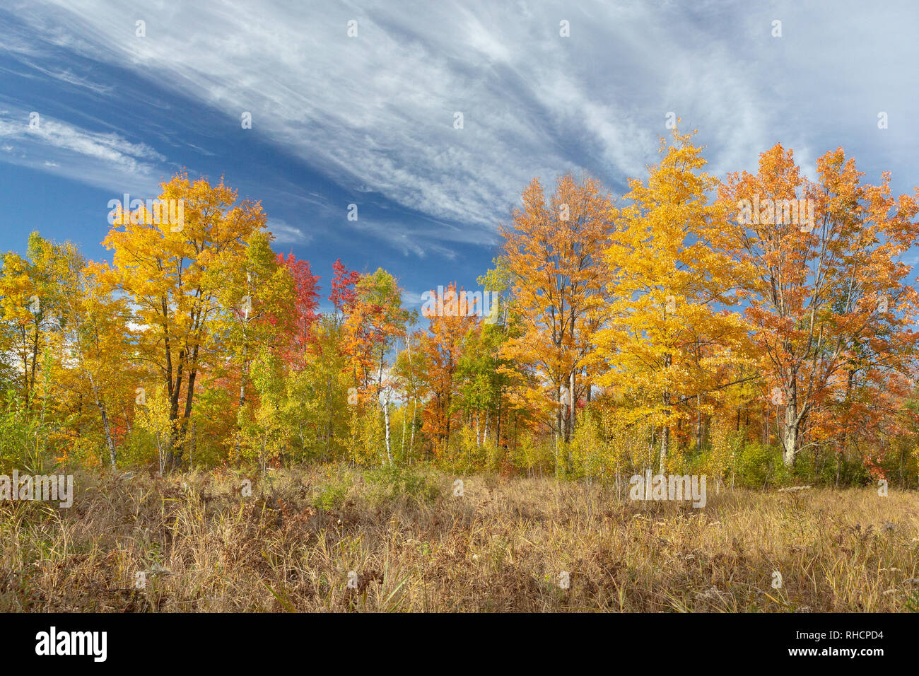 Fall autumn wisconsin hi-res stock photography and images - Alamy