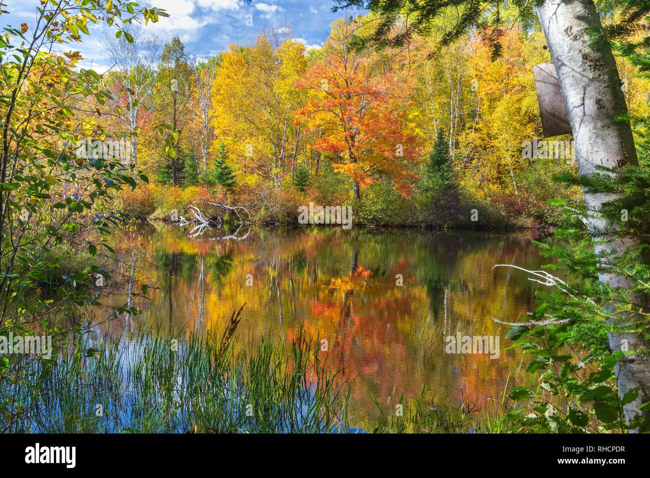 Chippewa national forest hi-res stock photography and images - Alamy