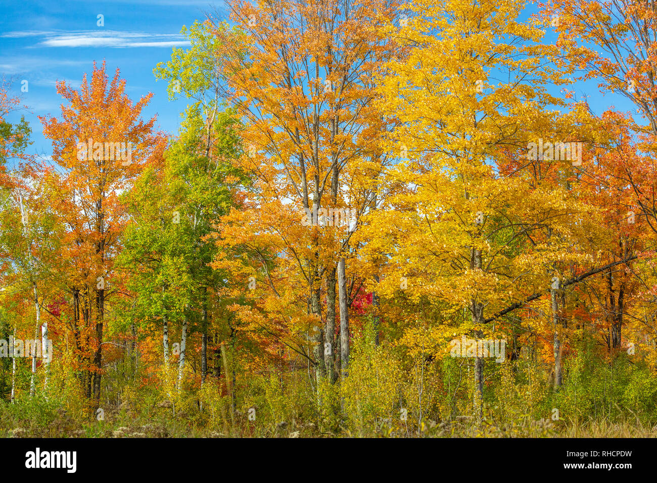 Fall autumn wisconsin hi-res stock photography and images - Alamy