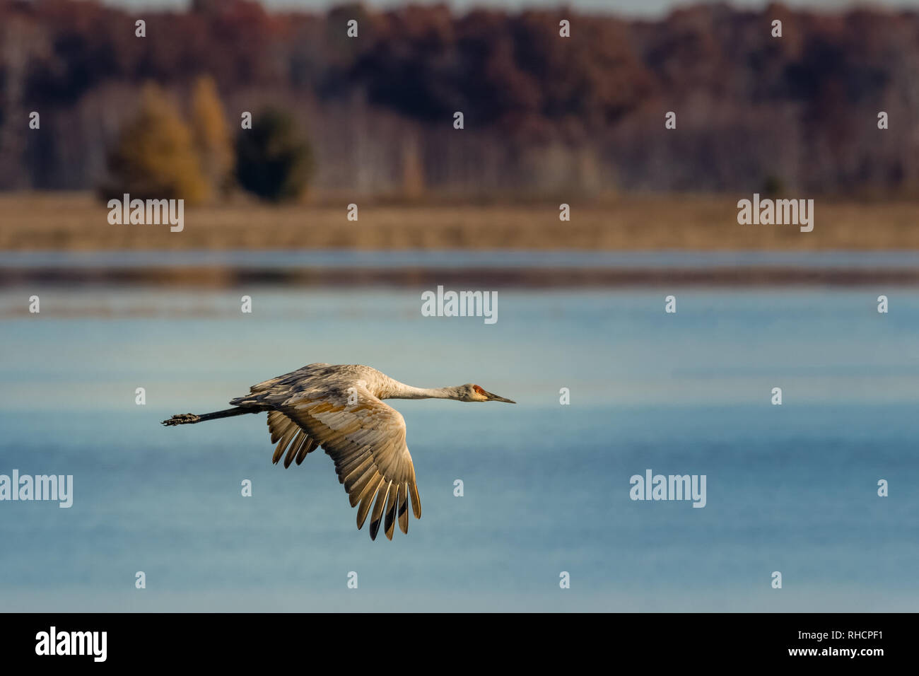 Phantom crane hi-res stock photography and images - Alamy