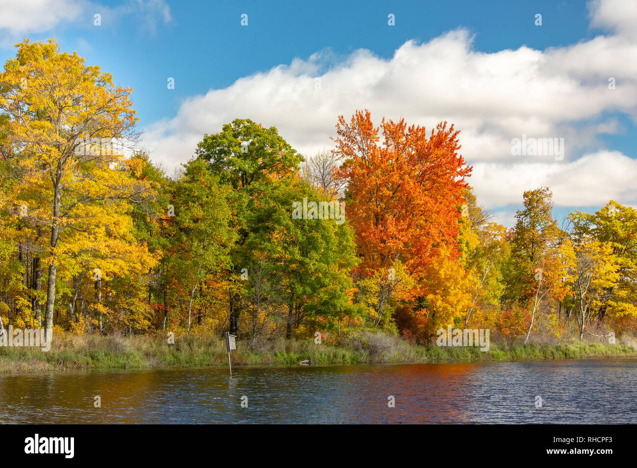 Pretty fall colors bordering a wilderness lake in northern Wisconsin ...