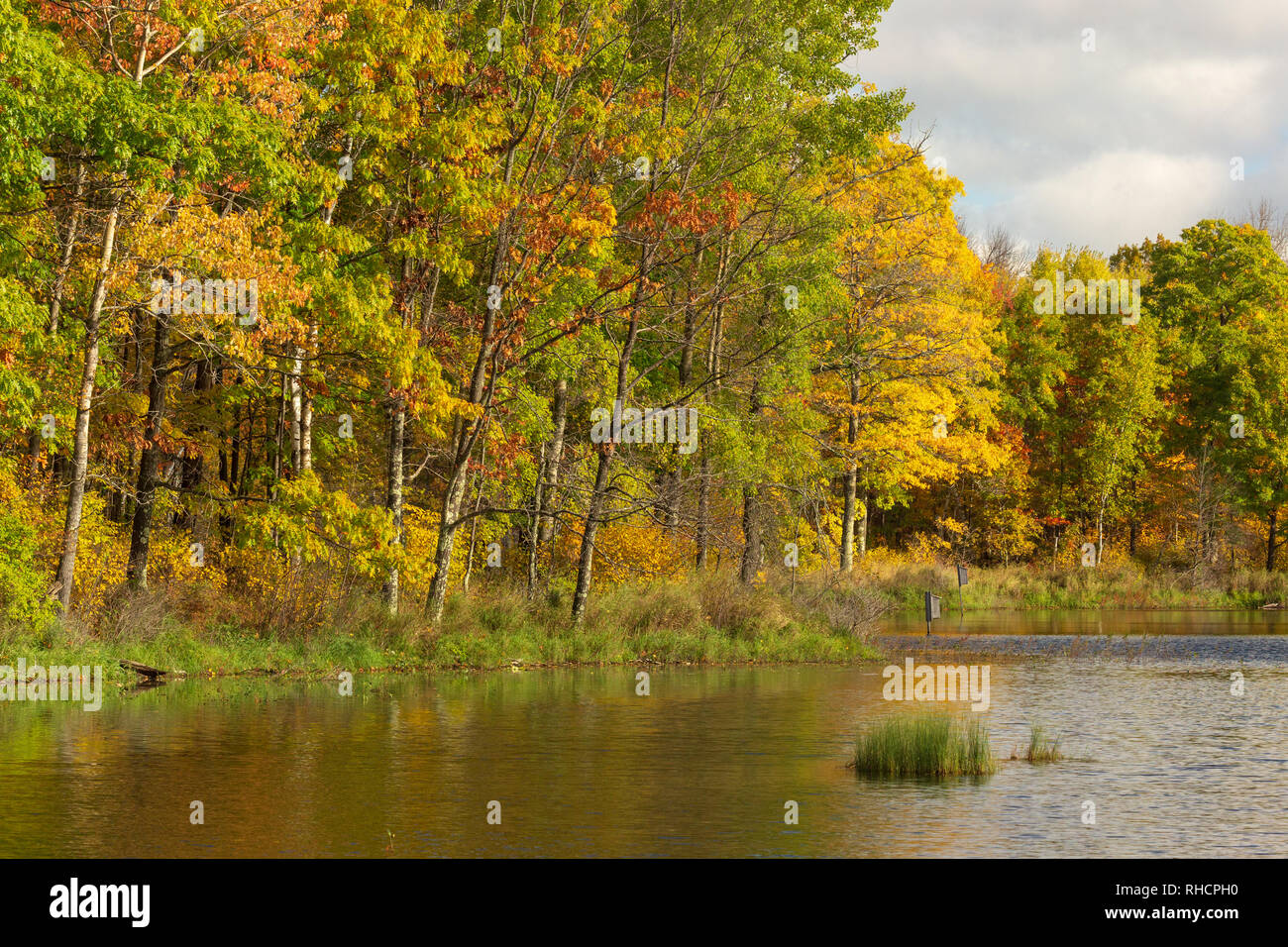 Autumn colors on a wilderness lake in northern Wisconsin Stock Photo ...