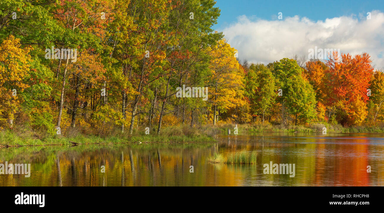 Autumn colors on a wilderness lake in northern Wisconsin Stock Photo ...