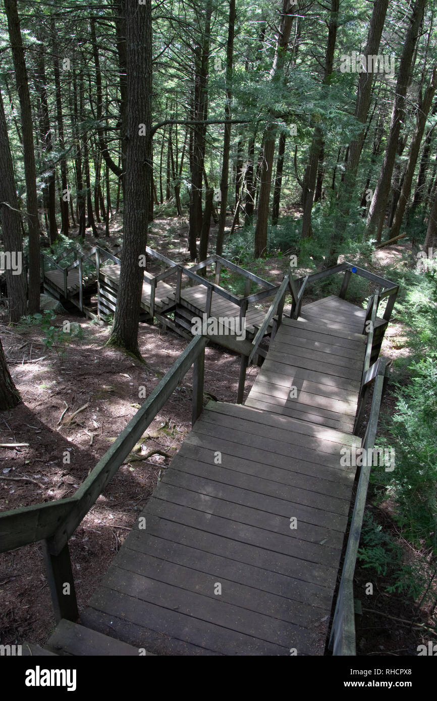 Stairway nature hi-res stock photography and images - Alamy