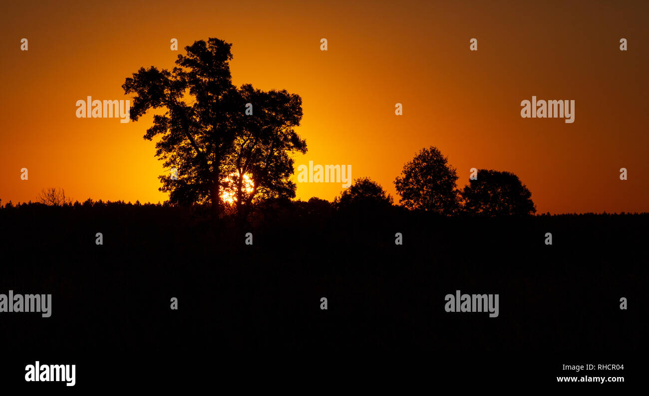 The morning sun peeking over the horizon in Crex Meadows Wildlife Area ...