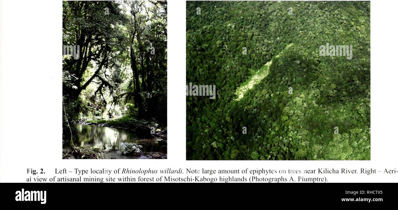 Congo river trees from above hi-res stock photography and images - Alamy