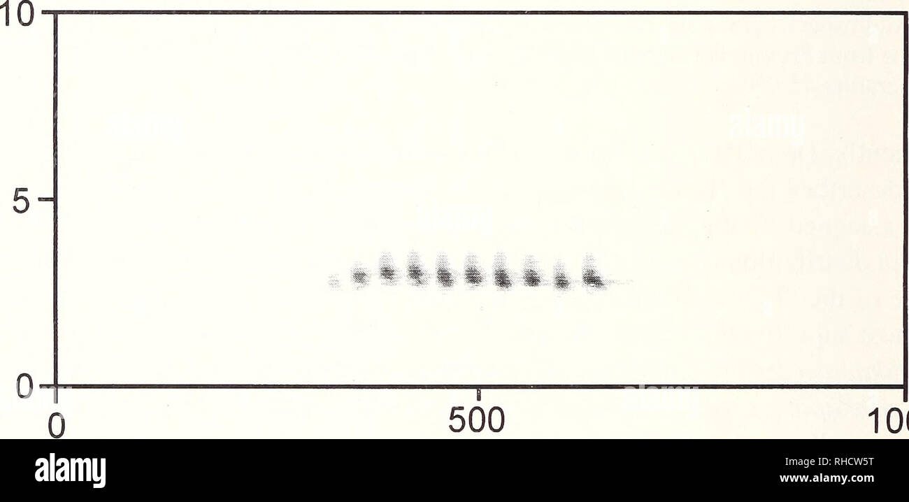 . Bonner zoologische Monographien. Zoology. 114 dimoqjhic in size ...