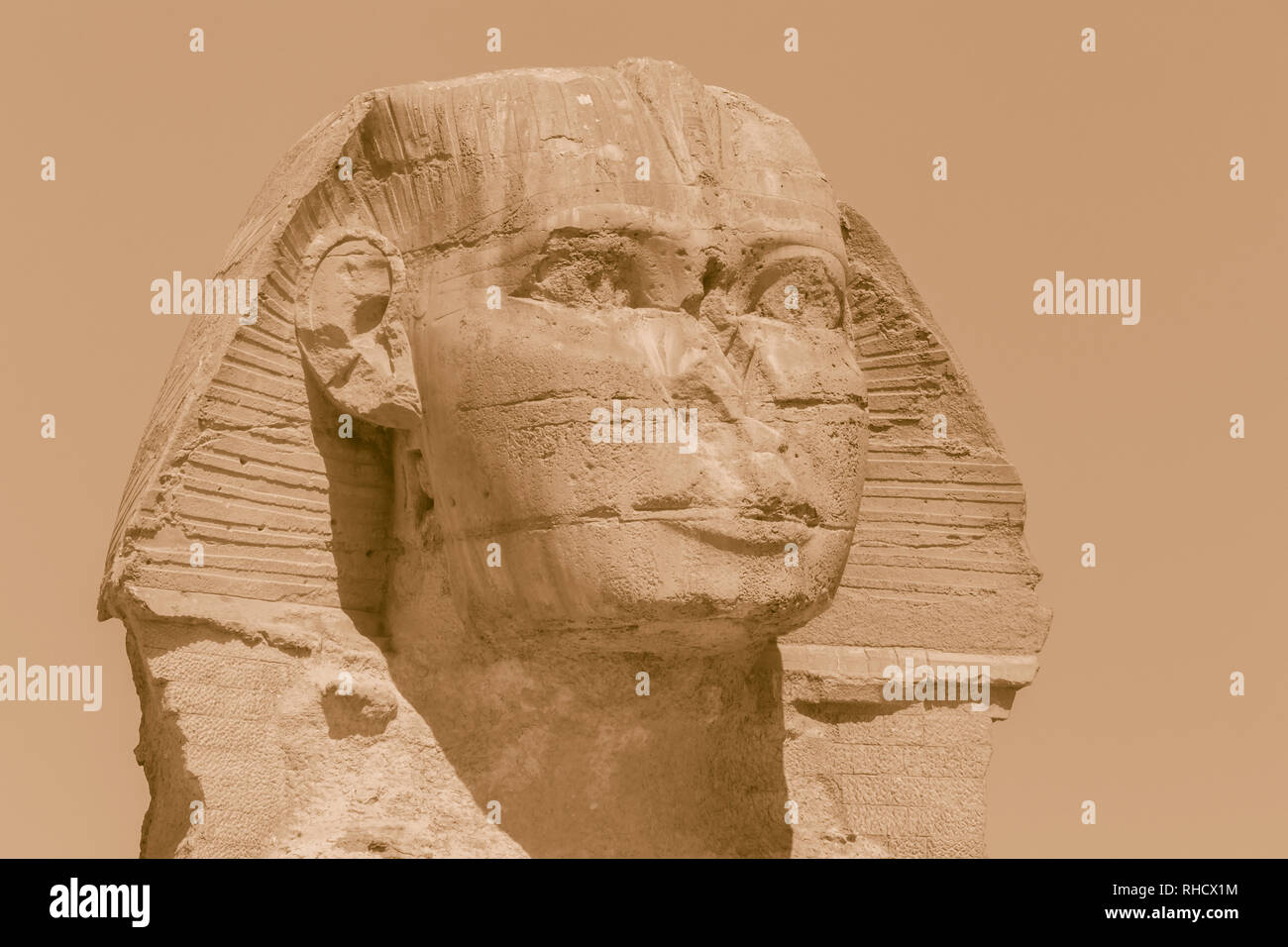 close up of head of Great Sphinx of Giza, Egypt Stock Photo - Alamy