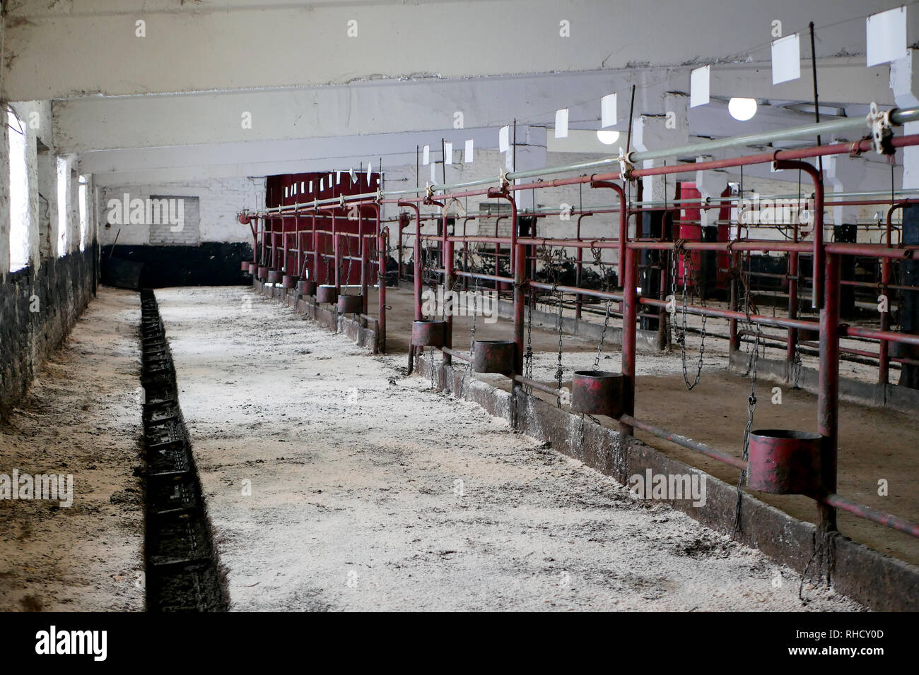 Keeping animals hi-res stock photography and images - Alamy