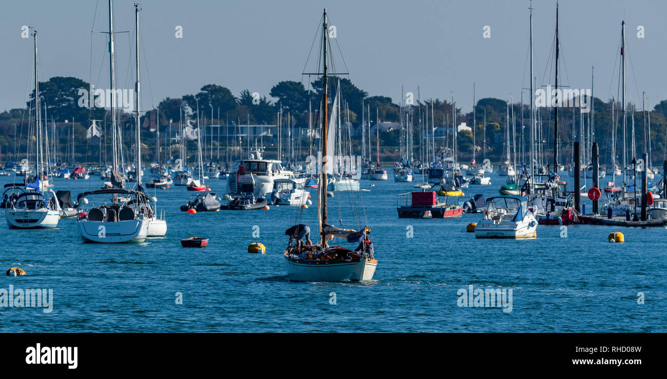 Busy water at Itchenor in Chichester Harbour Stock Photo - Alamy