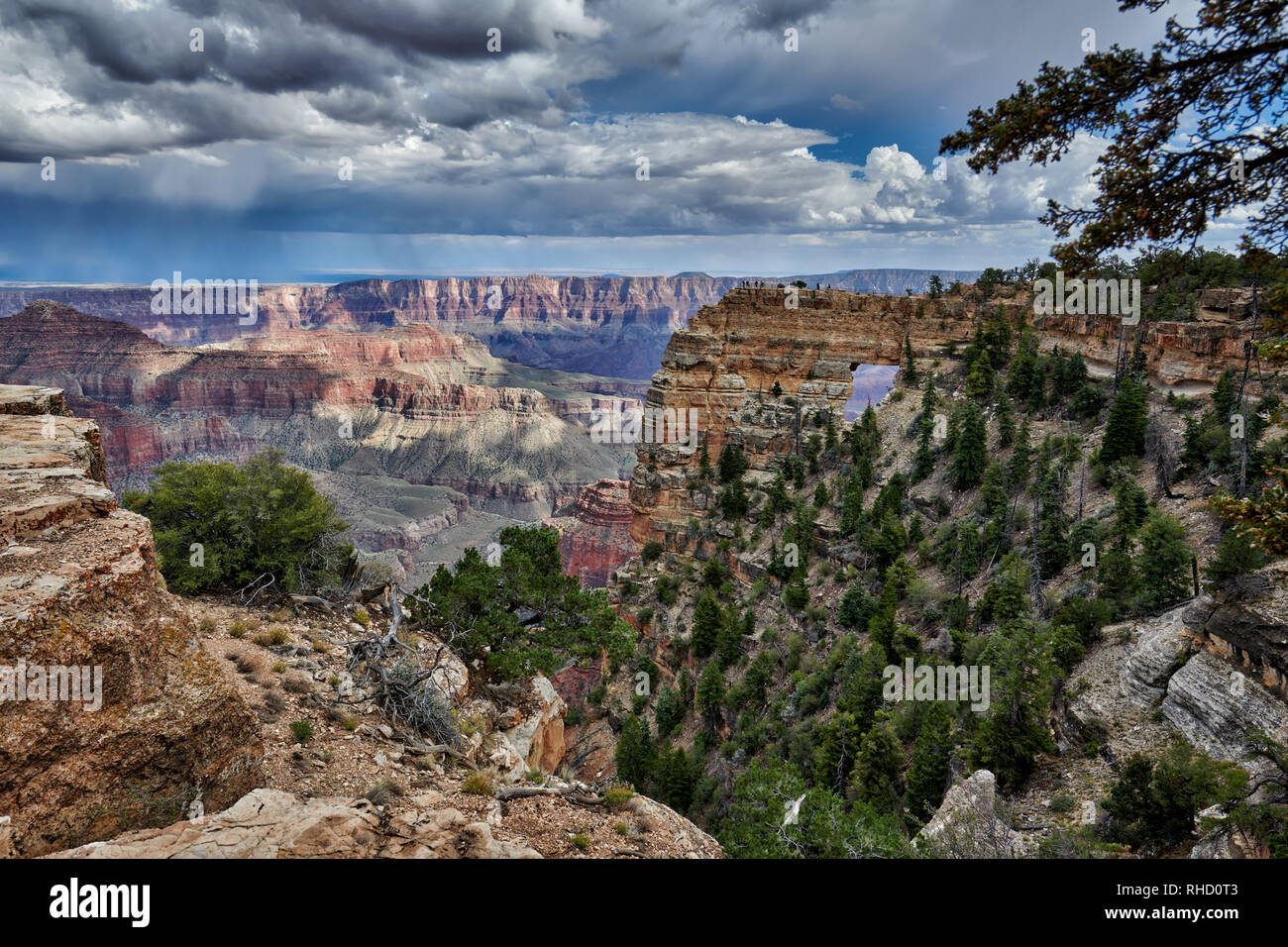Grand Canyon, Angels Window, Cape Royal view point, North Rim, Arizona ...