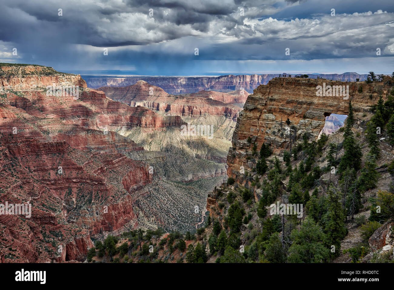 Grand Canyon, Angels Window, Cape Royal view point, North Rim, Arizona ...