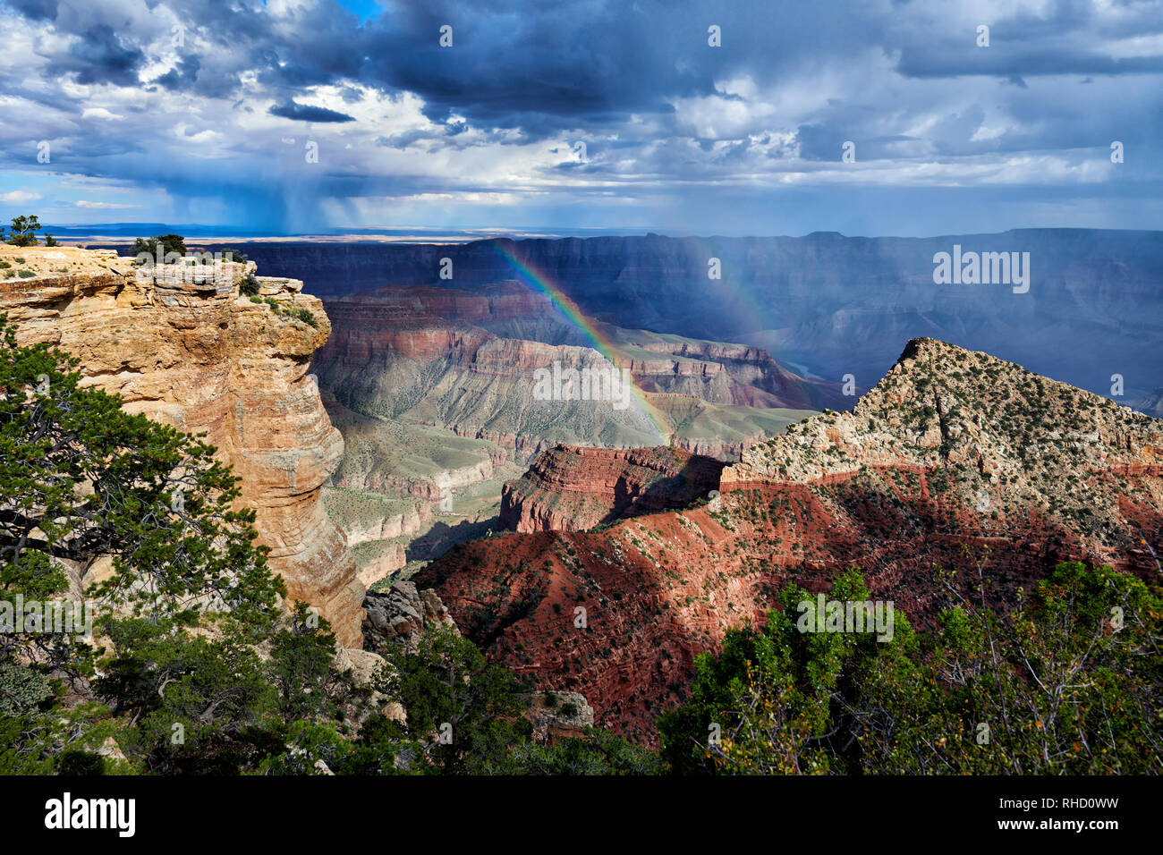 Cape royal viewpoint grand canyon north rim hi-res stock photography ...