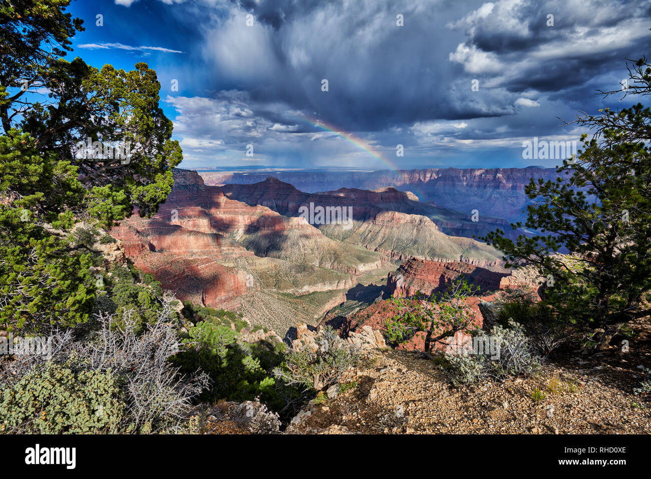 Cape royal viewpoint grand canyon north rim hi-res stock photography ...