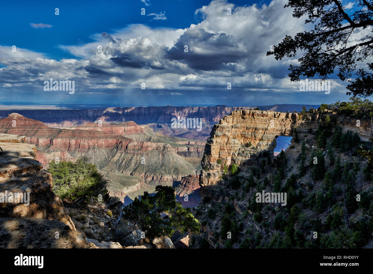 Grand Canyon, Angels Window, Cape Royal view point, North Rim, Arizona ...