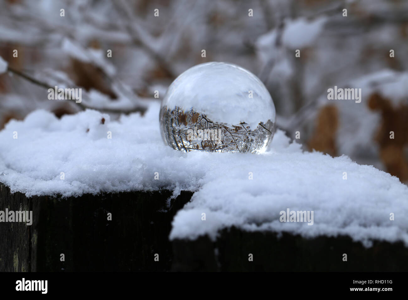 Winter forest through a transparent glass ball Stock Photo - Alamy