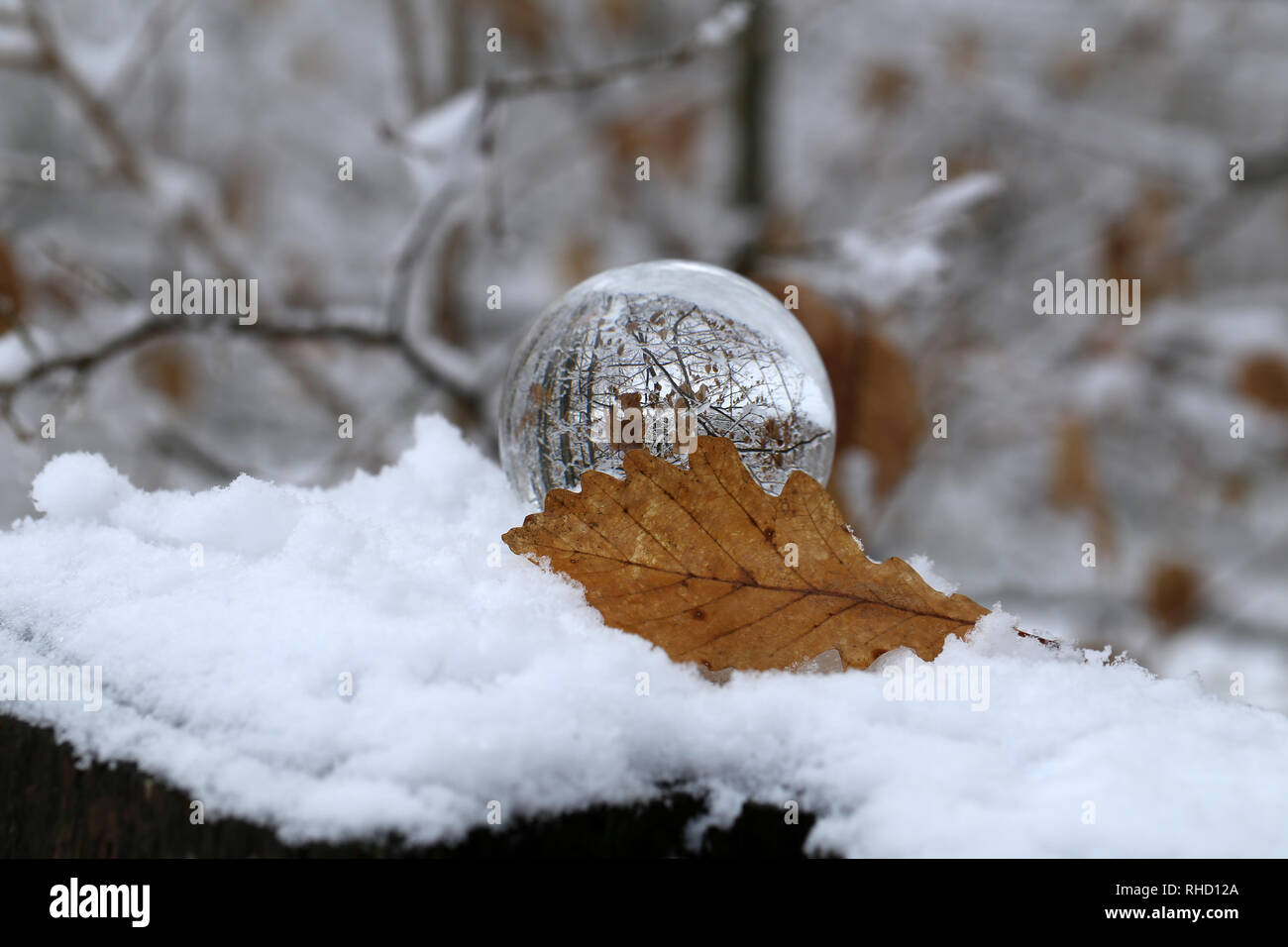 Winter forest through a transparent glass ball Stock Photo - Alamy