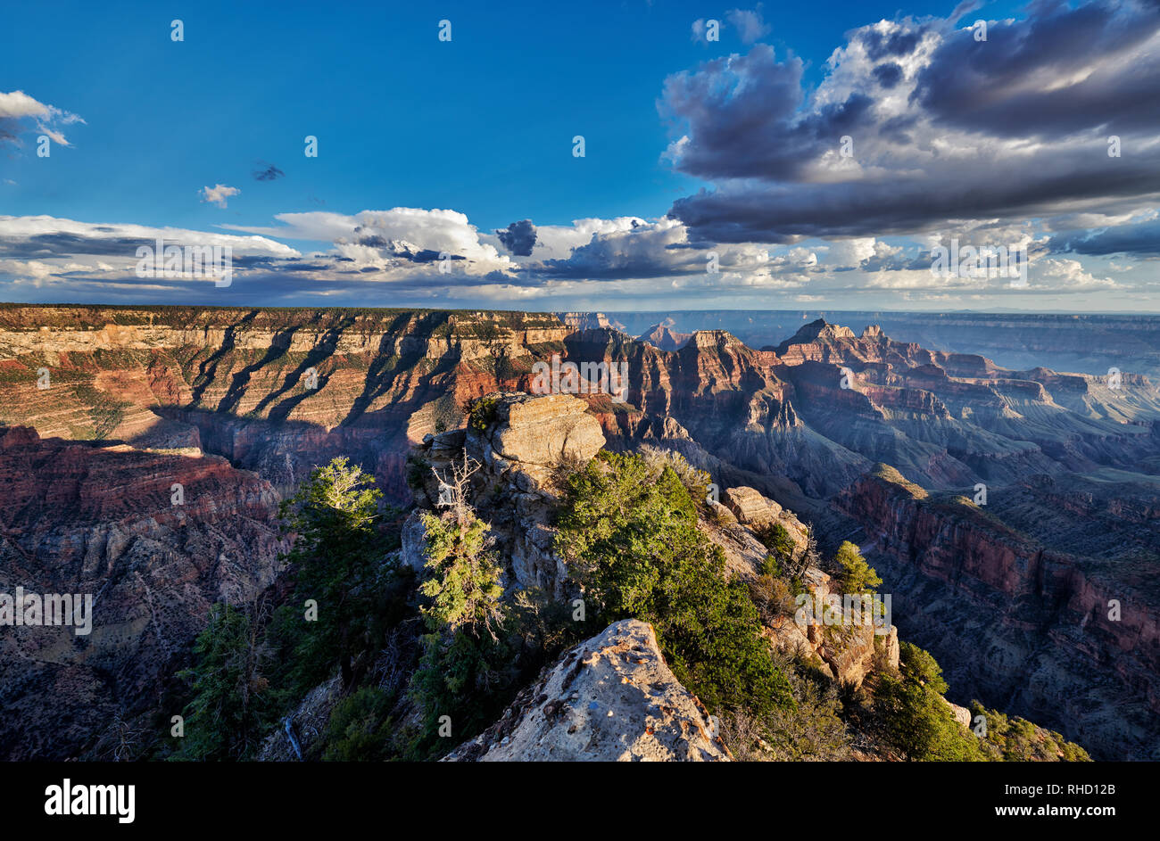 Grand Canyon, Bright Angel Point, North Rim, Arizona, USA, North ...