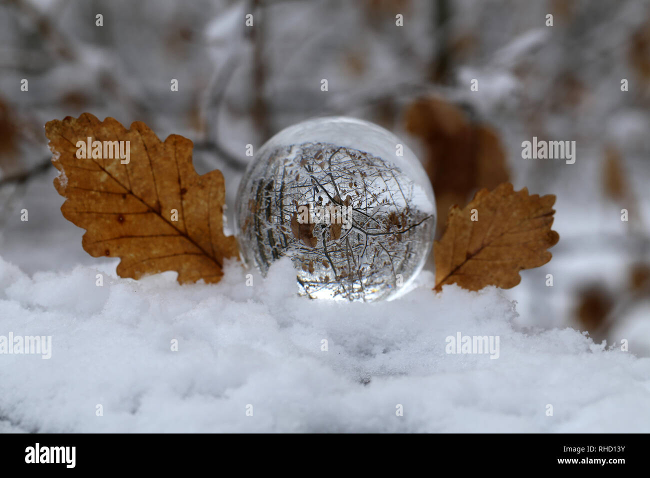 Winter forest through a transparent glass ball Stock Photo - Alamy