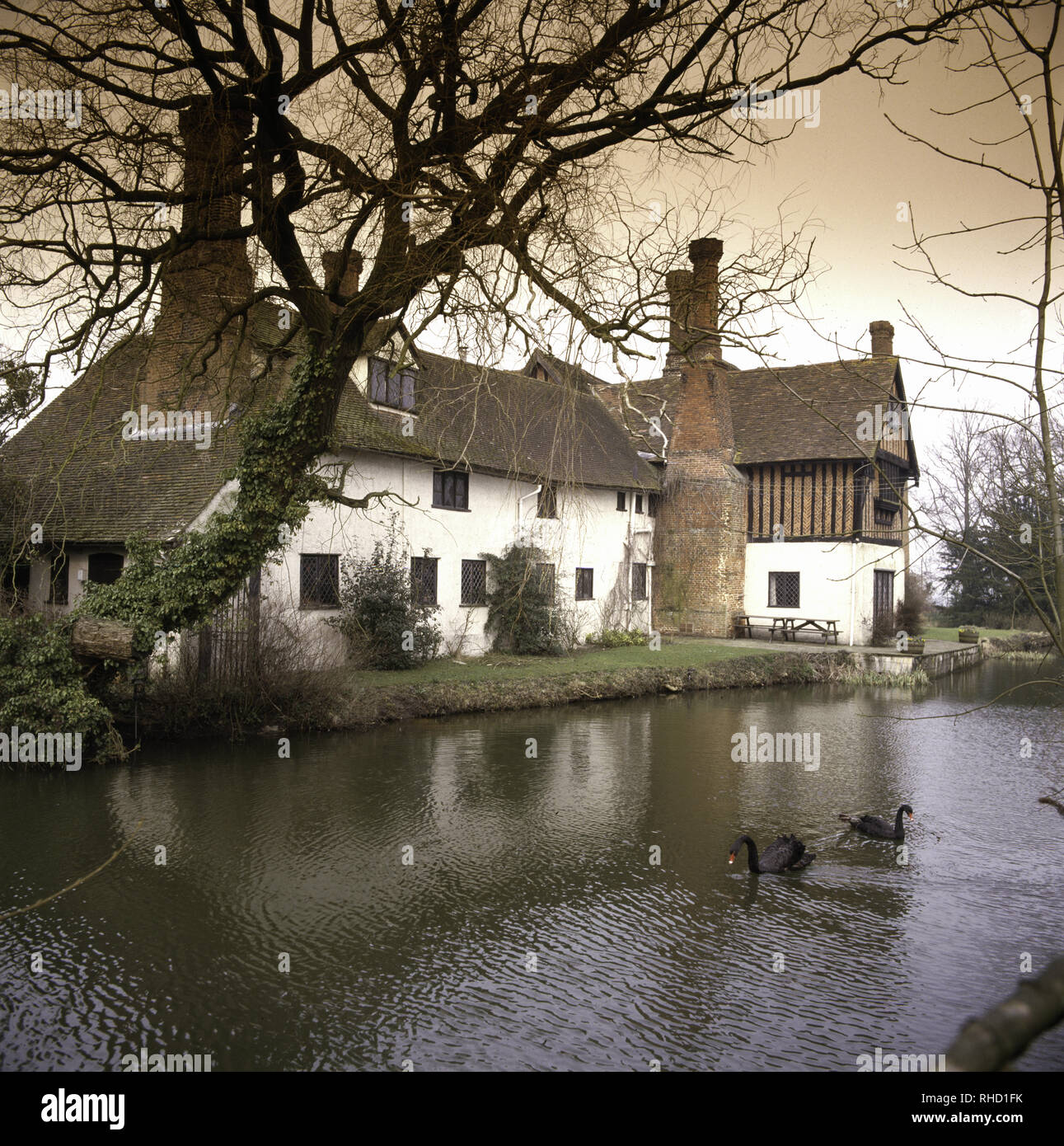 Waterside property hi-res stock photography and images - Alamy