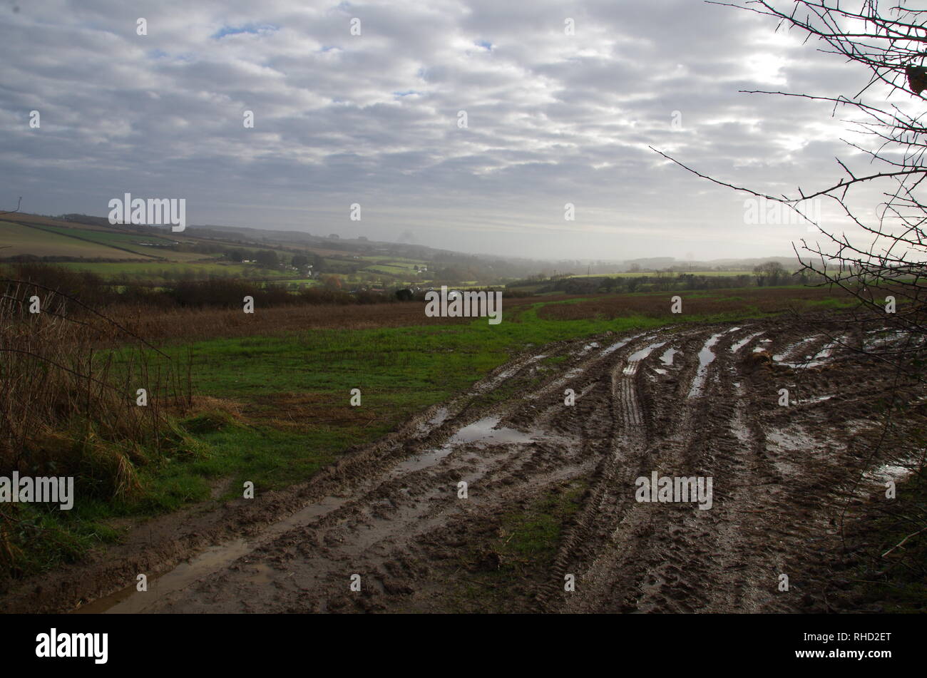 The Macmillan Way. Long-distance trail. Dorset. England. UK Stock Photo ...