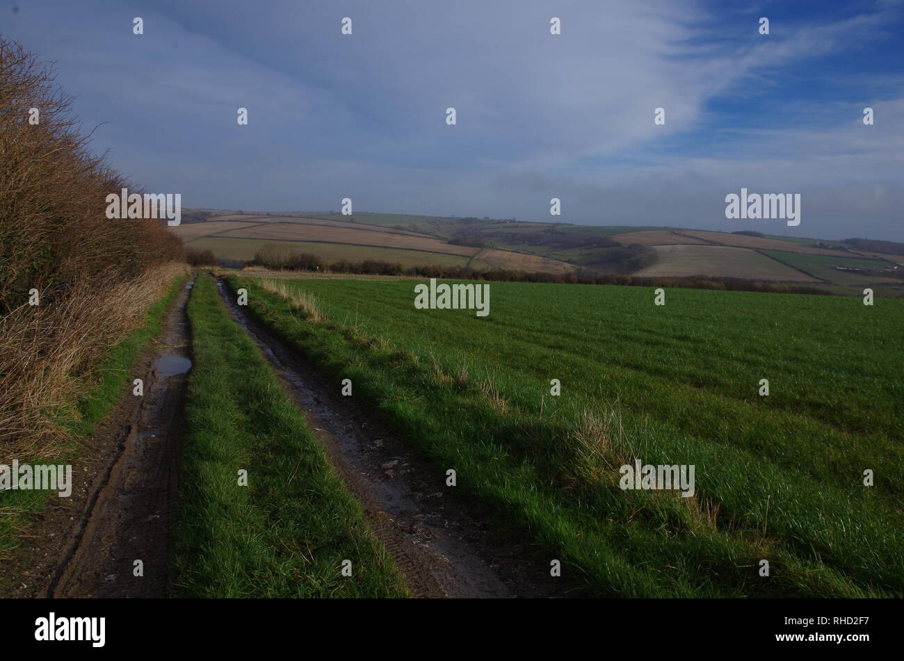 The Macmillan Way. Long-distance trail. Dorset. England. UK Stock Photo ...