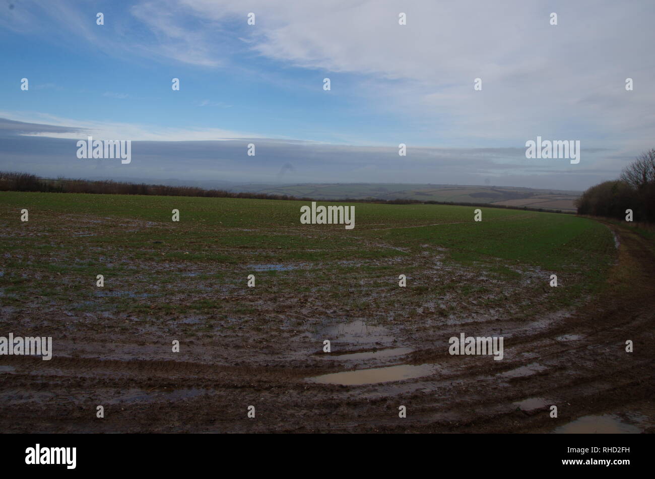 The Macmillan Way. Long-distance trail. Dorset. England. UK Stock Photo ...
