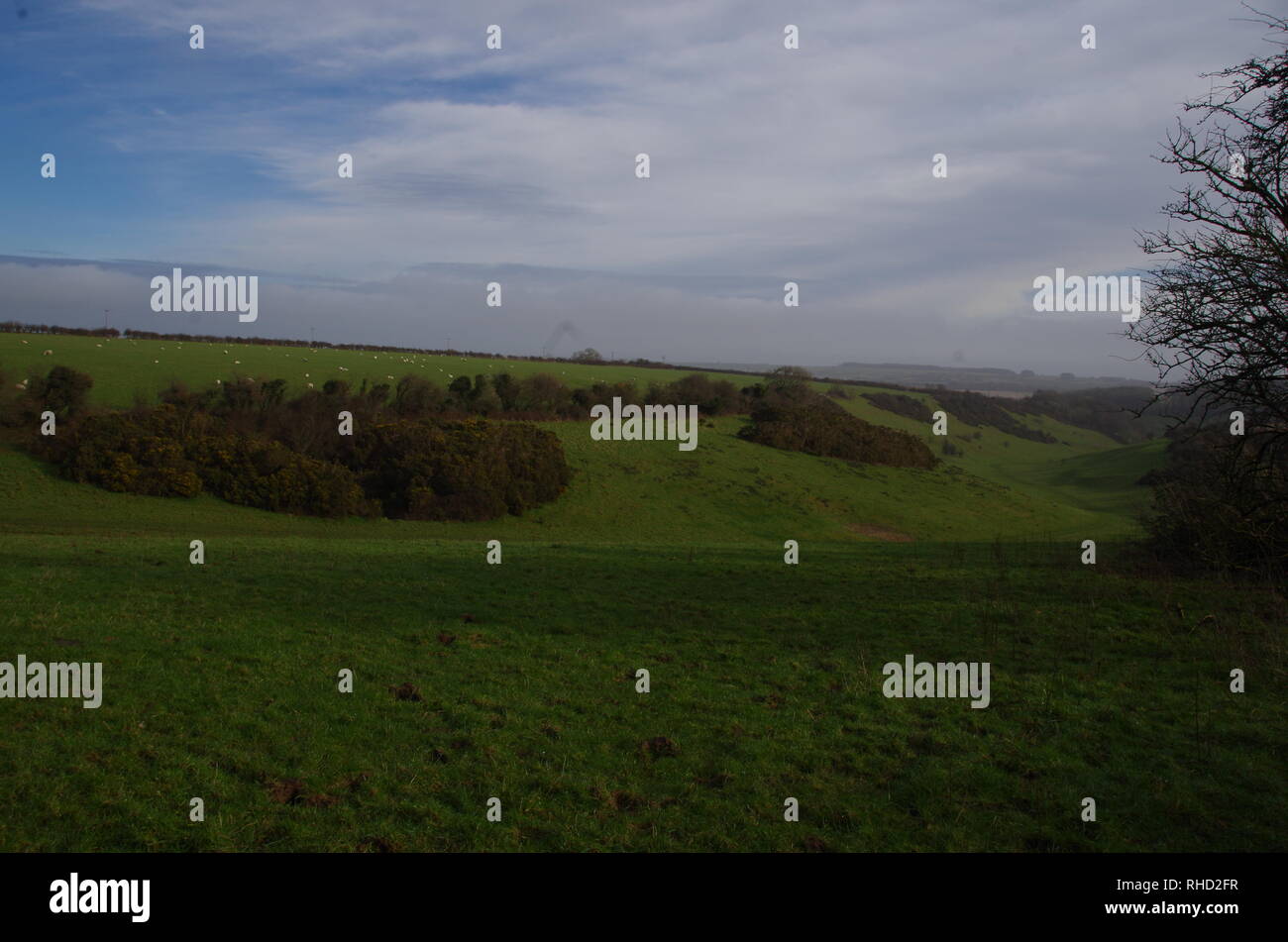 The Macmillan Way. Long-distance trail. Dorset. England. UK Stock Photo ...