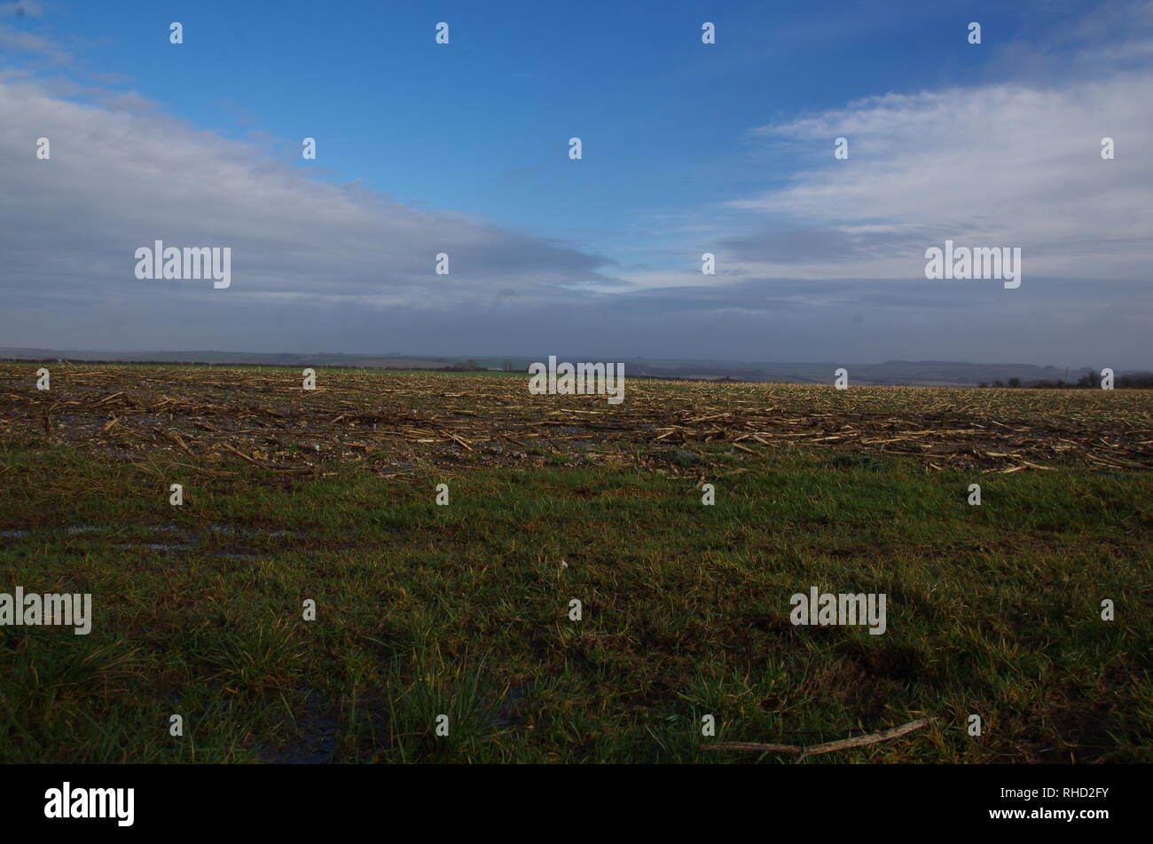 The Macmillan Way. Long-distance trail. Dorset. England. UK Stock Photo ...