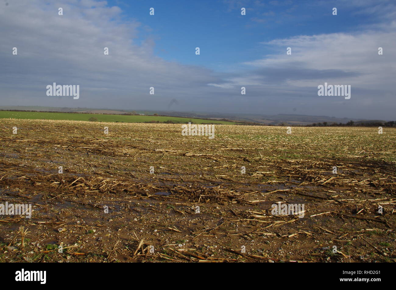 The Macmillan Way. Long-distance trail. Dorset. England. UK Stock Photo ...