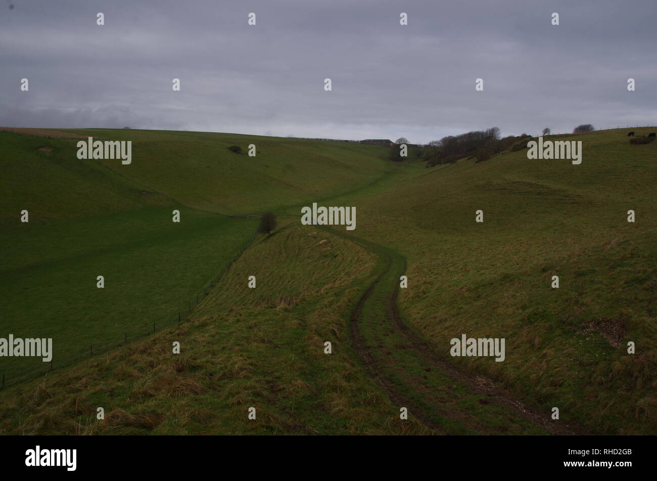 The Macmillan Way. Long-distance trail. Dorset. England. UK Stock Photo ...
