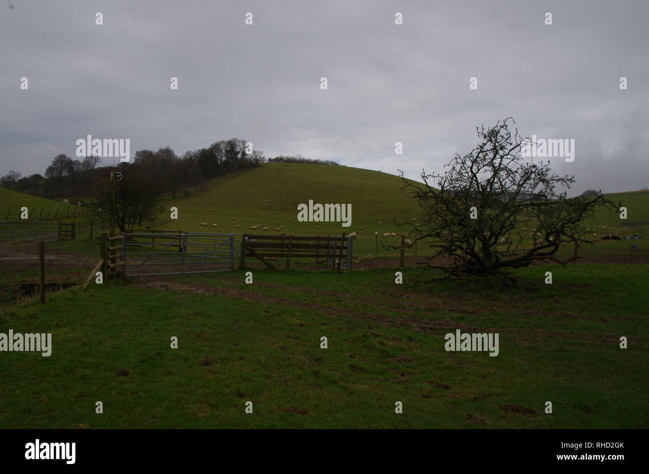 The Macmillan Way. Long-distance trail. Dorset. England. UK Stock Photo ...