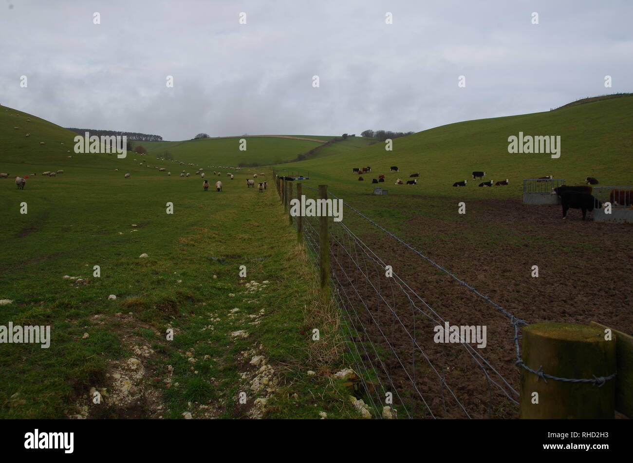 Compton Valence. The Macmillan Way. Long-distance trail. Dorset ...