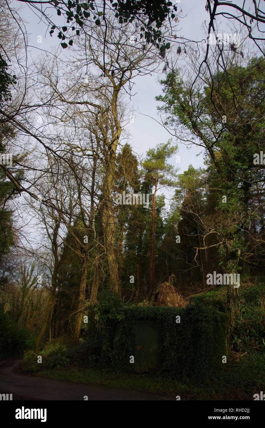 Compton Valence. The Macmillan Way. Long-distance trail. Dorset ...