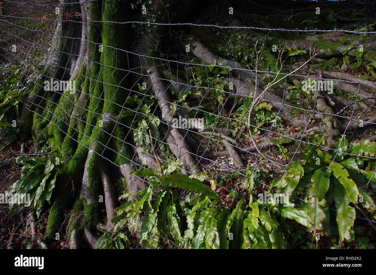 Compton valence hi-res stock photography and images - Alamy