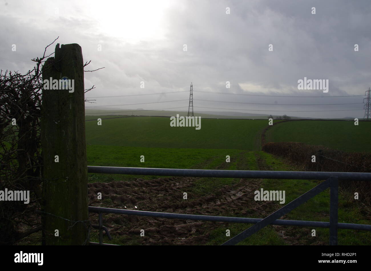 The Macmillan Way. Long-distance trail. Dorset. England. UK Stock Photo ...