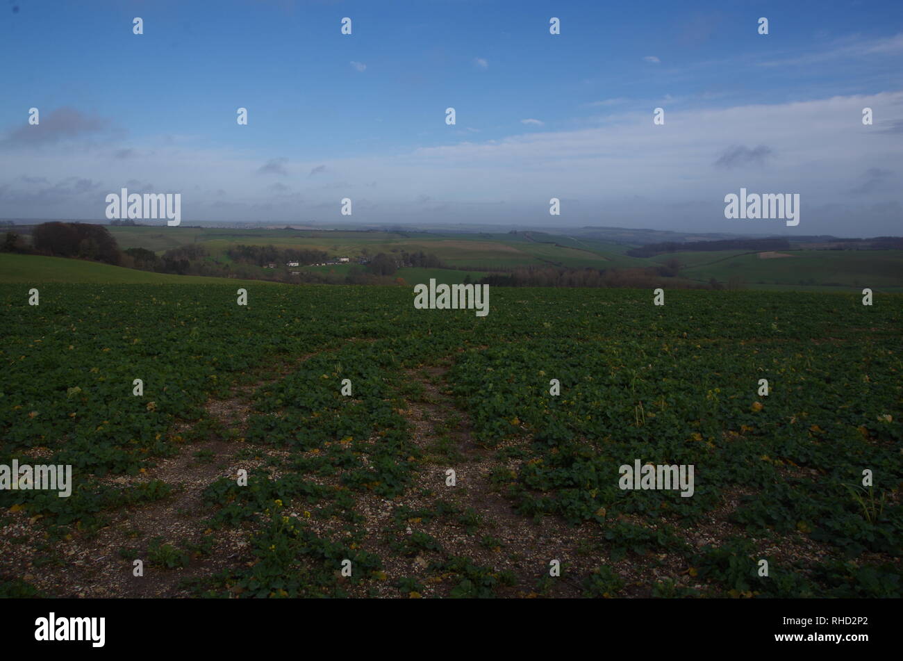 The Macmillan Way. Long-distance trail. Dorset. England. UK Stock Photo ...