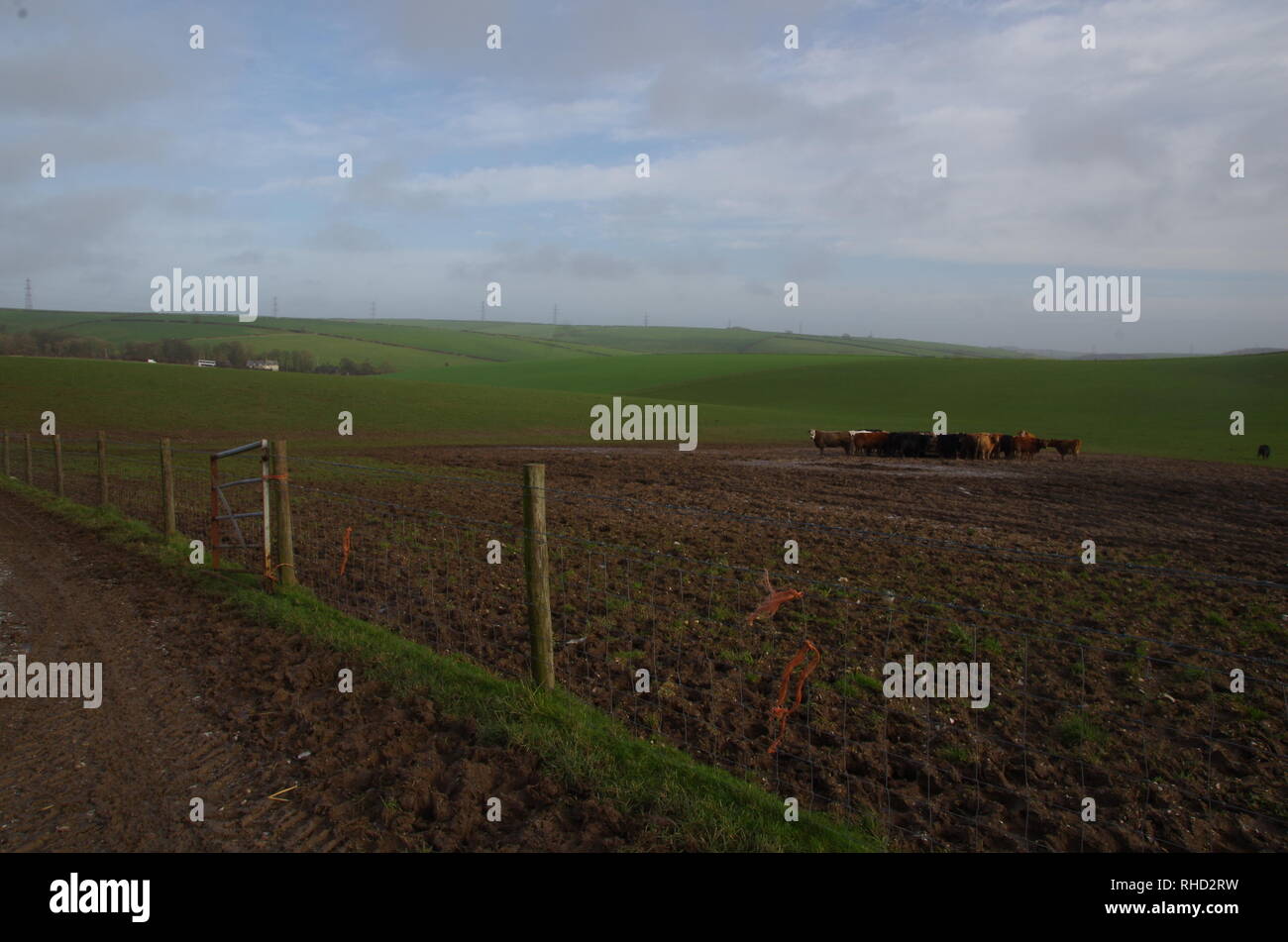 The Macmillan Way. Long-distance trail. Dorset. England. UK Stock Photo ...