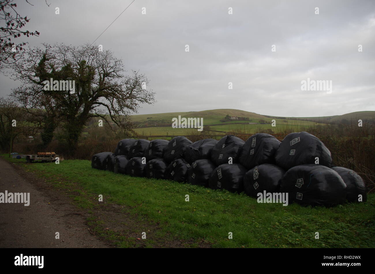 The Macmillan Way. Long-distance trail. Dorset. England. UK Stock Photo ...