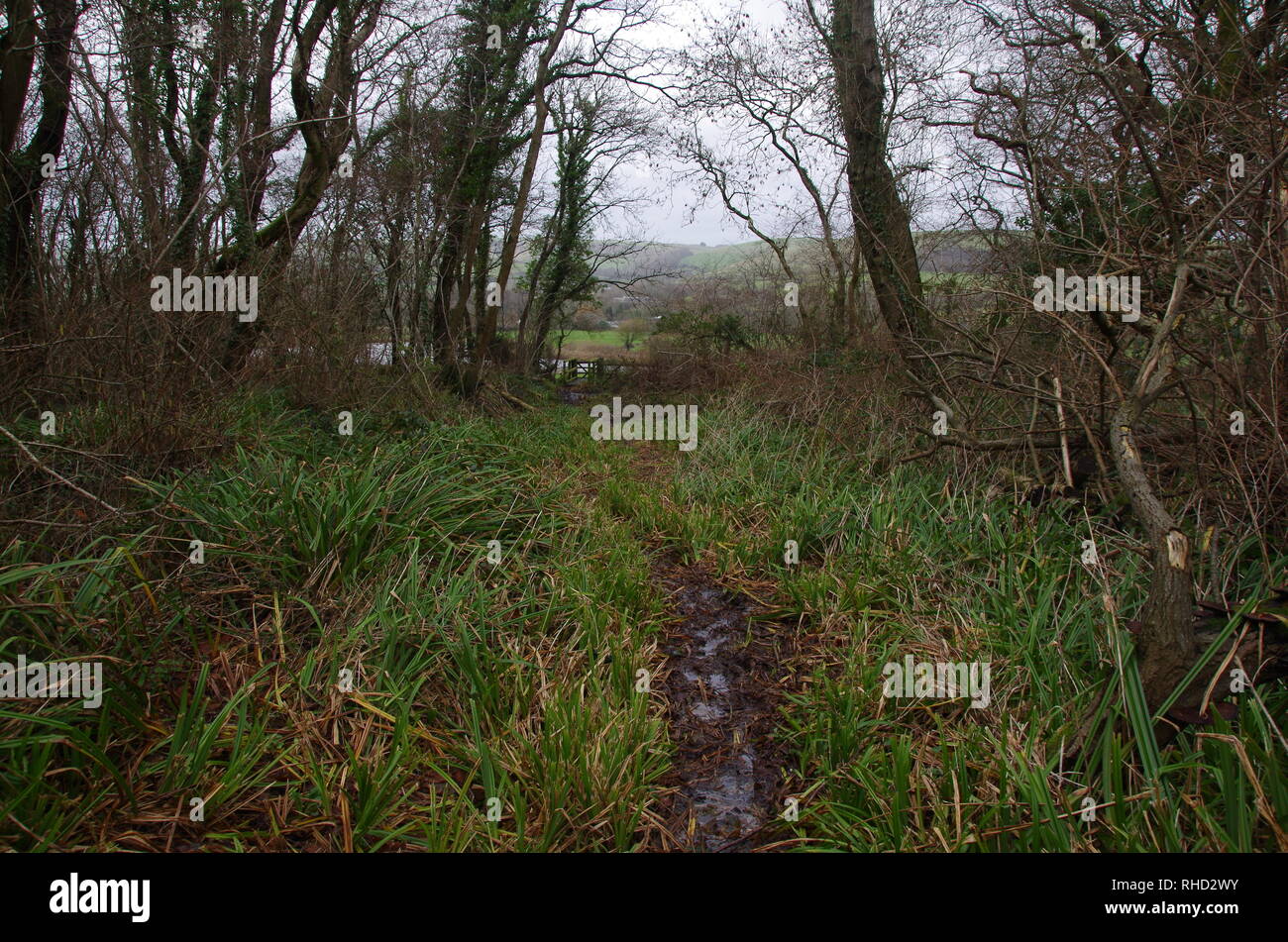 The Macmillan Way. Long-distance trail. Dorset. England. UK Stock Photo ...