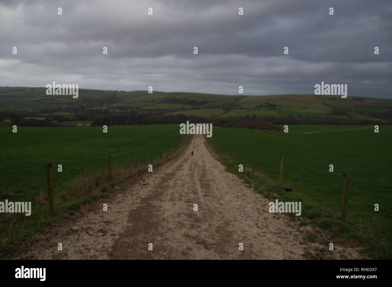 The Macmillan Way. Long-distance trail. Dorset. England. UK Stock Photo ...
