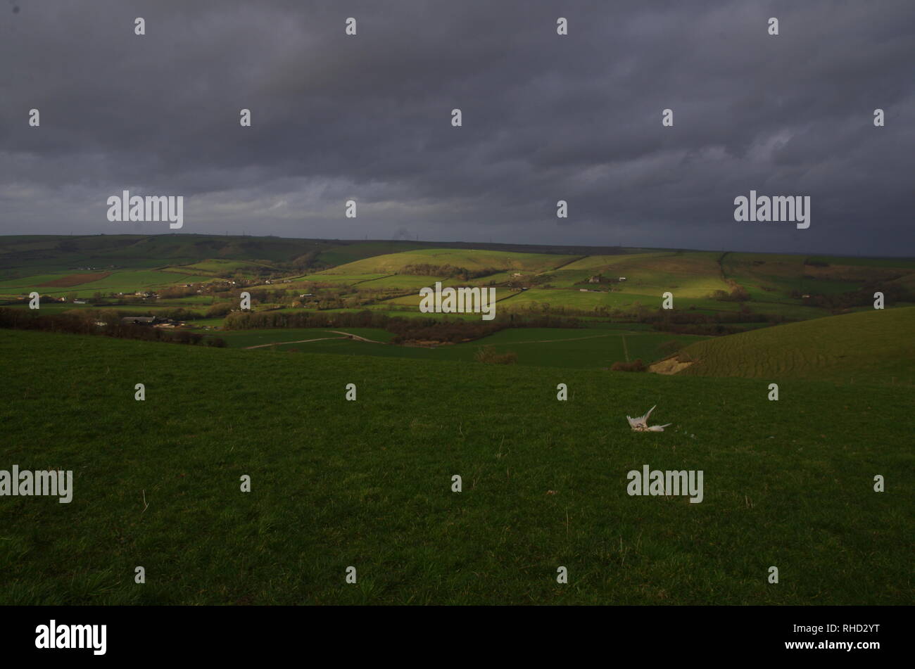 The Macmillan Way. Long-distance trail. Dorset. England. UK Stock Photo ...