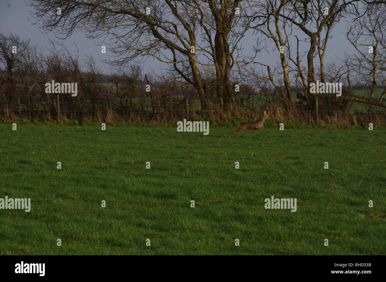 The Macmillan Way. Long-distance trail. Dorset. England. UK Stock Photo ...