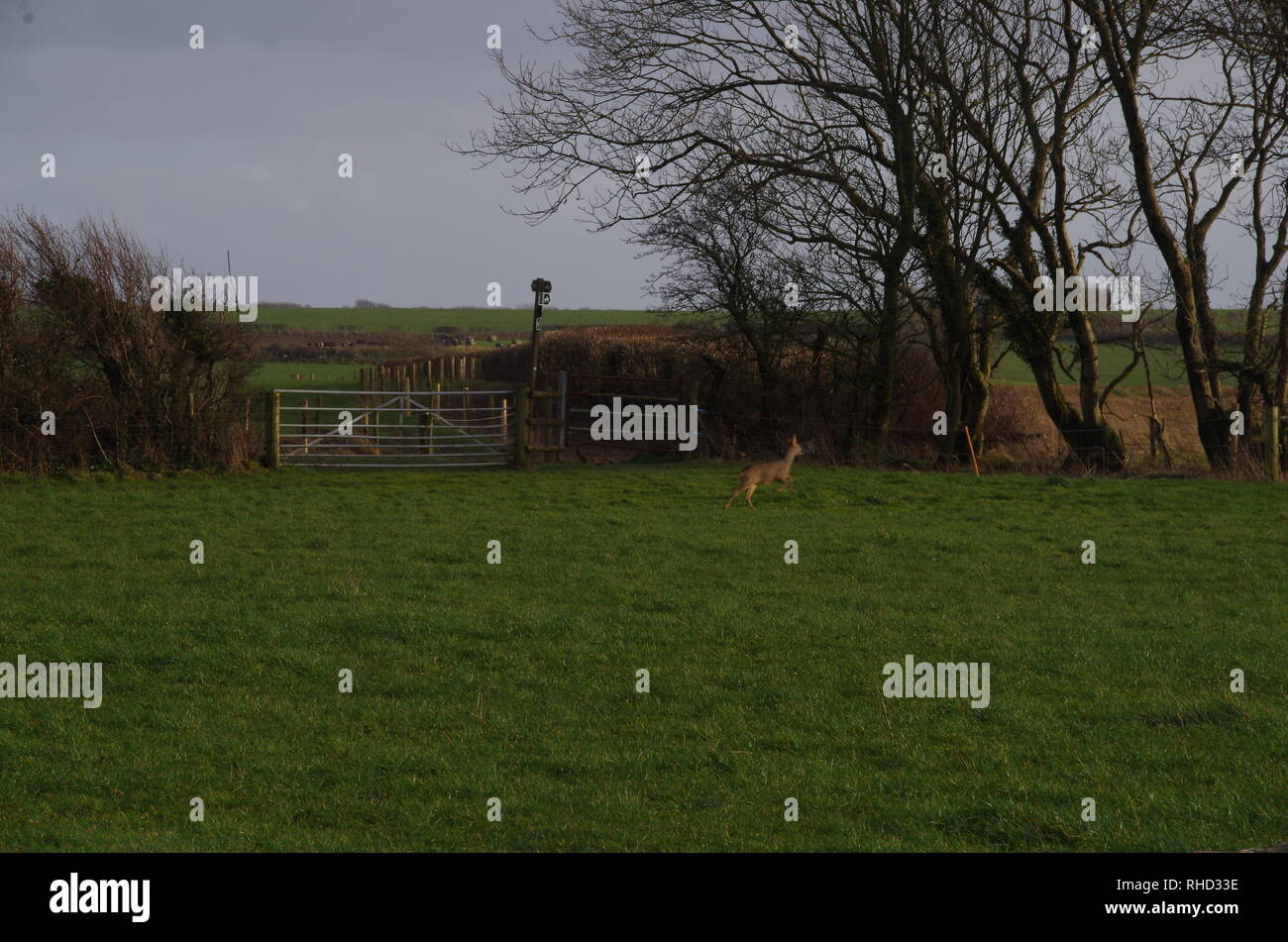 The Macmillan Way. Long-distance trail. Dorset. England. UK Stock Photo ...