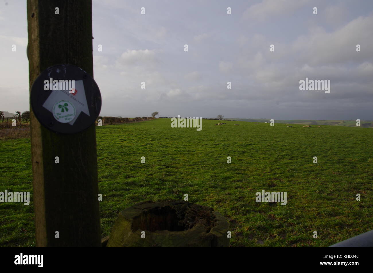 The Macmillan Way. Long-distance trail. Dorset. England. UK Stock Photo ...